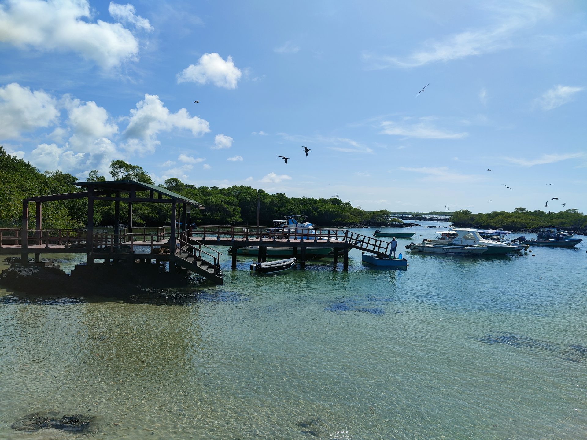 Qué hacer en Isla Isabela, la isla más salvaje de Galápagos - Polyviajeros