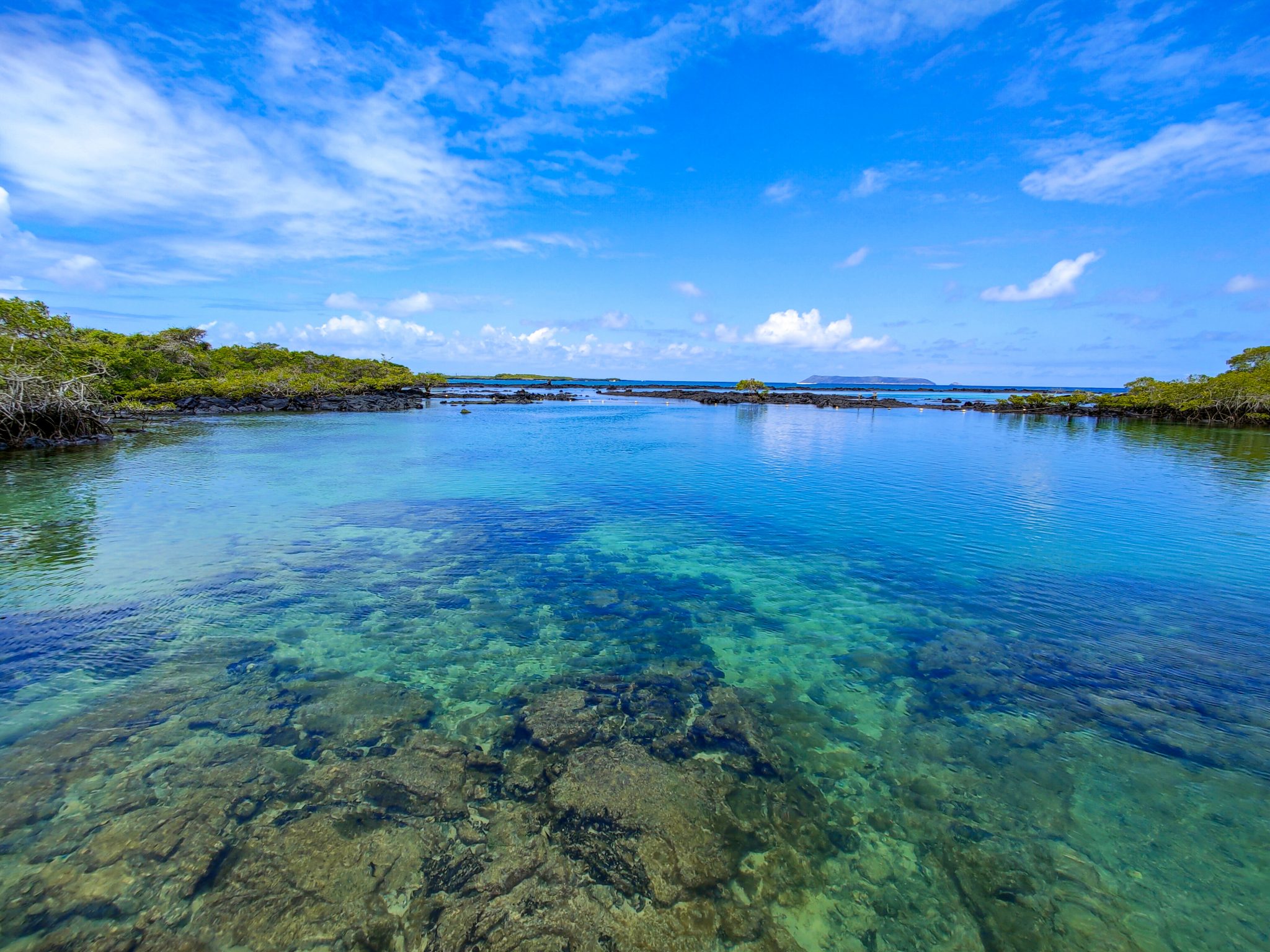 Concha Perla, la joya de Galápagos - Polyviajeros