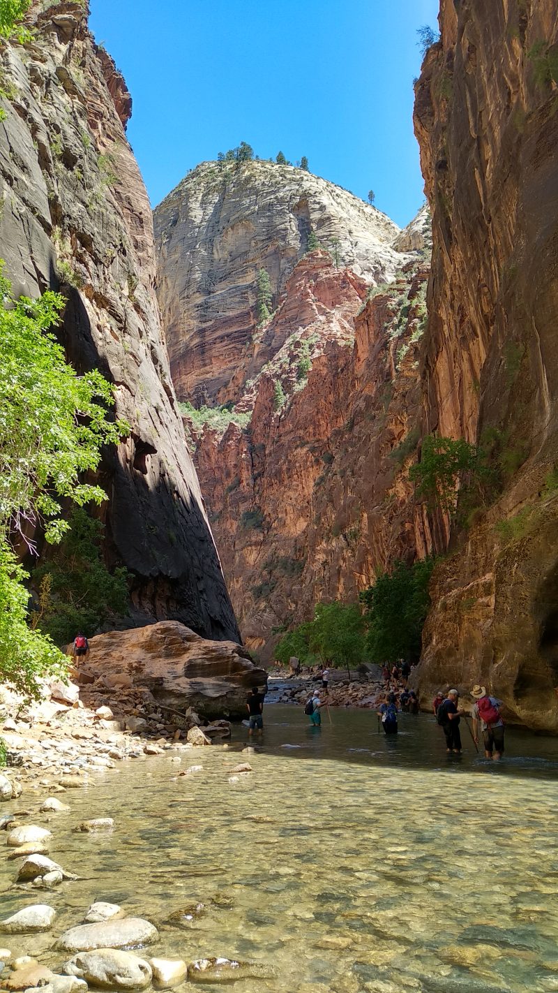 The Narrows, caminando por el Río Virginia en Zion National Park ...