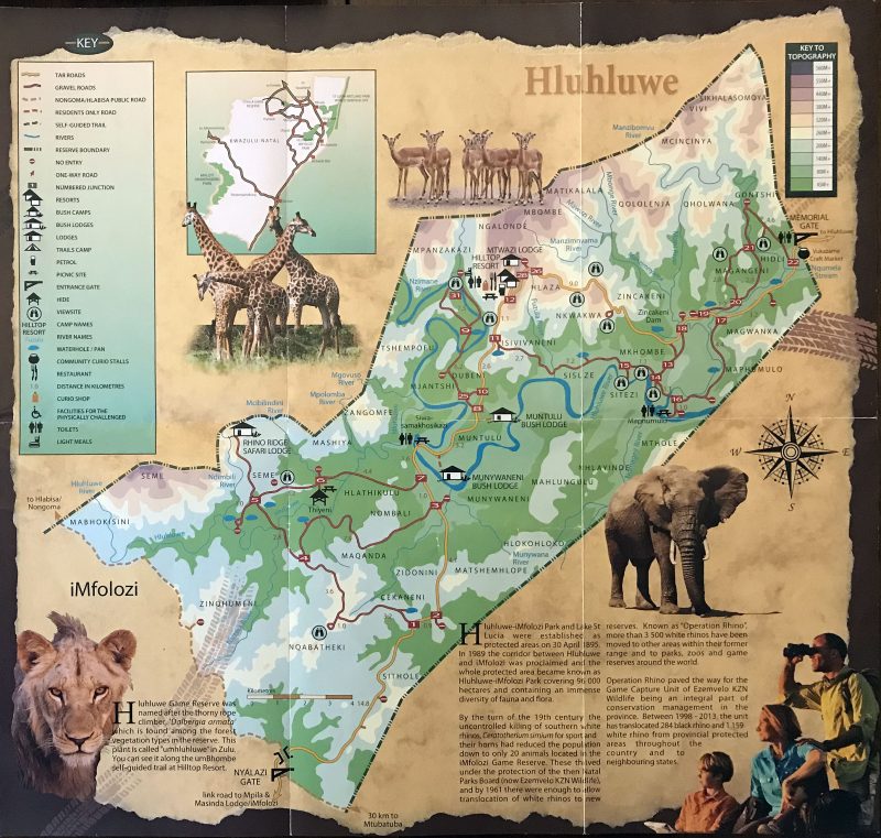 Hluhluwe Game Reserve, el norte del parque más antiguo de África [Guía ...
