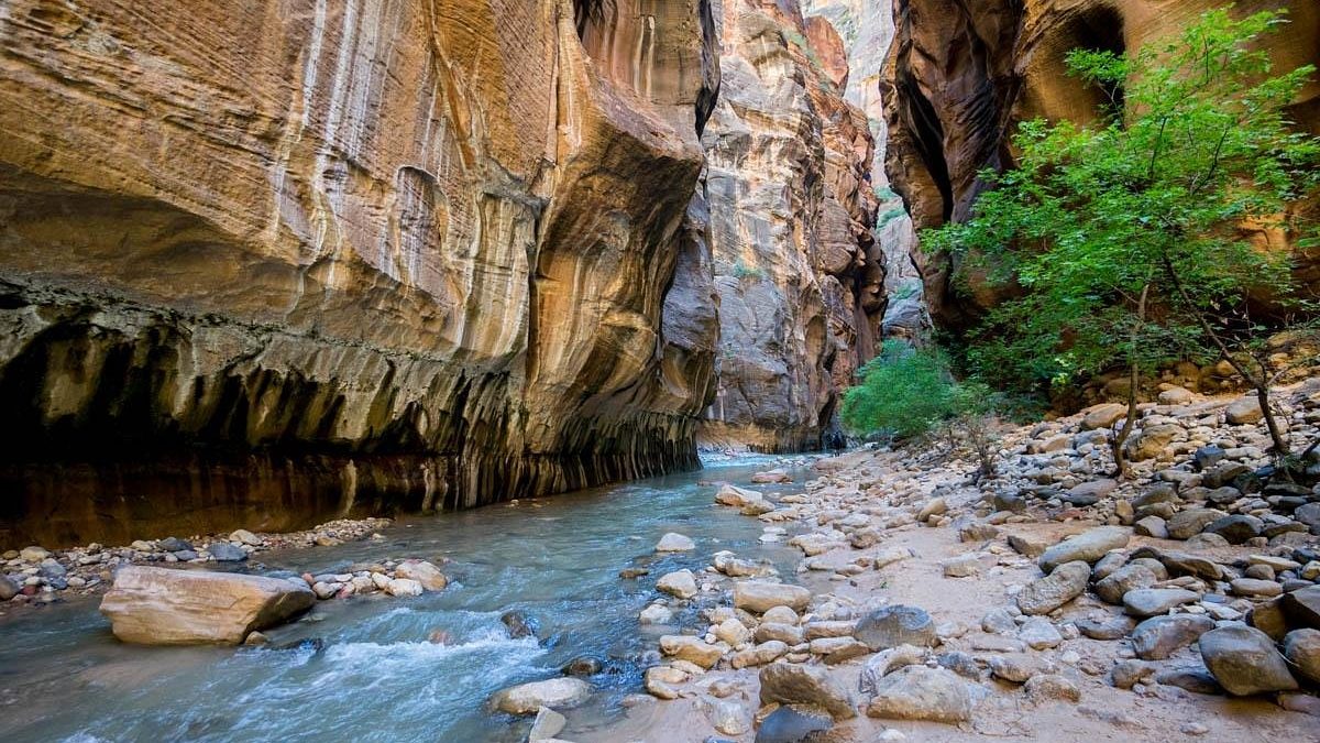 The Narrows, caminando por el Río Virginia en Zion National Park ...