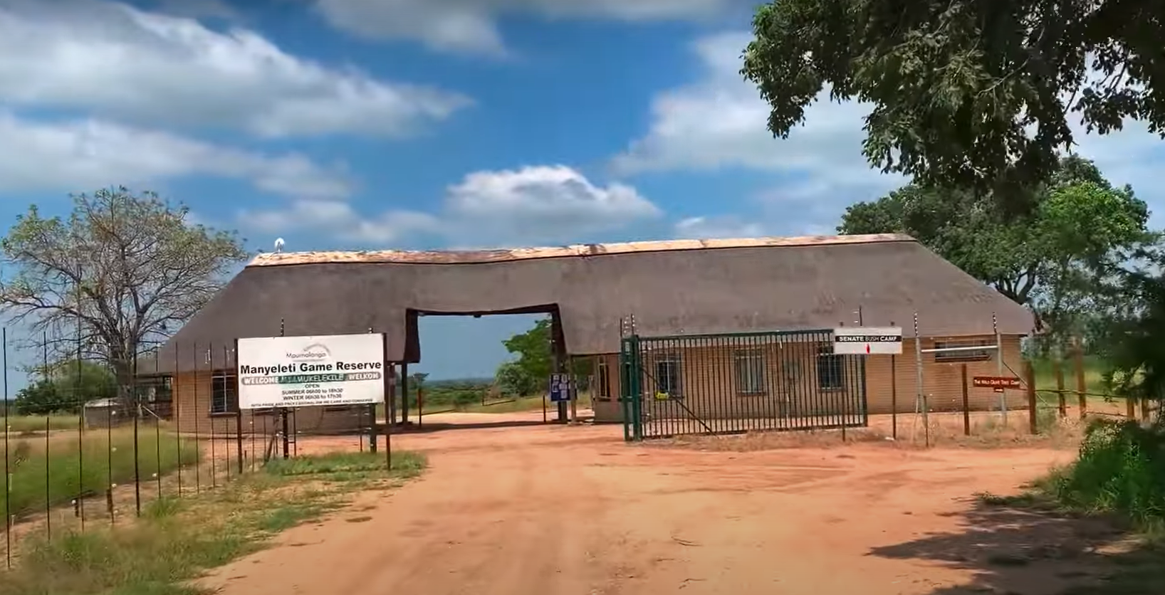 Manyeleti Game Reserve, la joya escondida del Kruger [Guía Completa ...