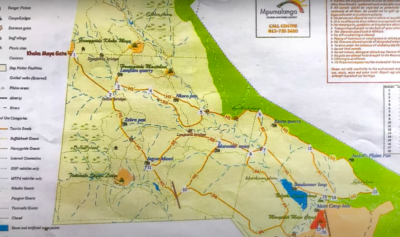 Manyeleti Game Reserve, la joya escondida del Kruger [Guía Completa ...