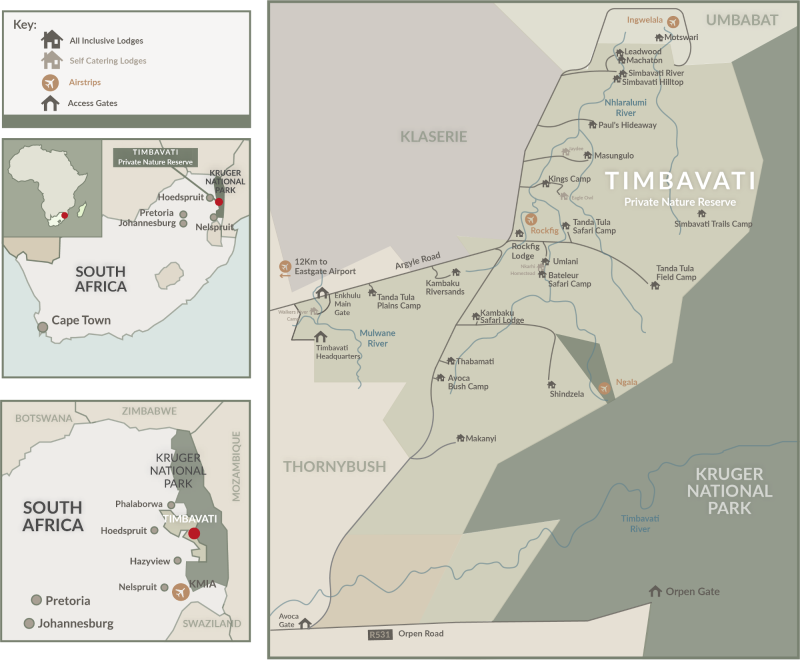 Timbavati Game Reserve, la mejor reserva privada para ver leones en ...