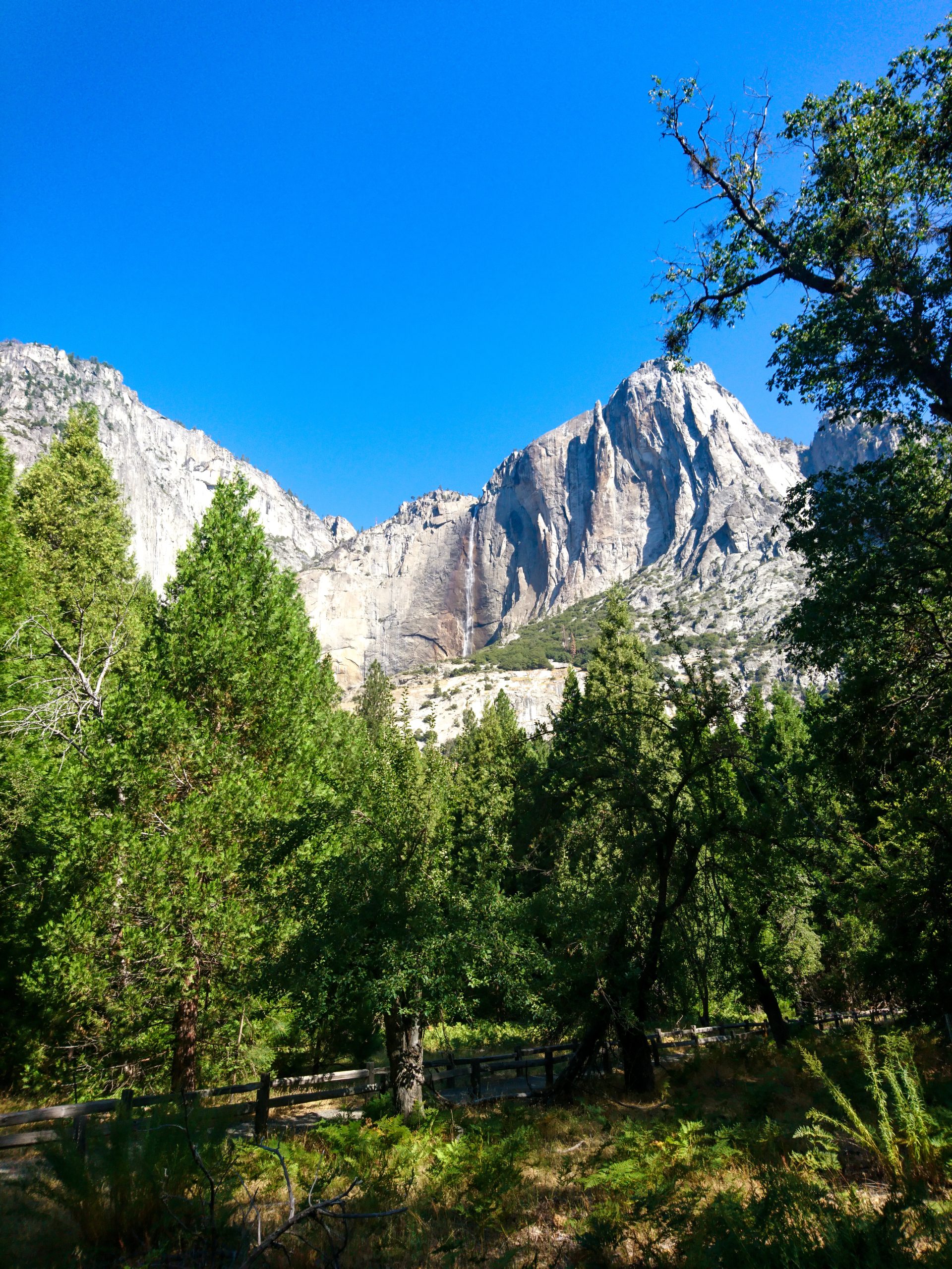 Qué ver en Yosemite National Park, el parque del Oso Yogui [Guía ...