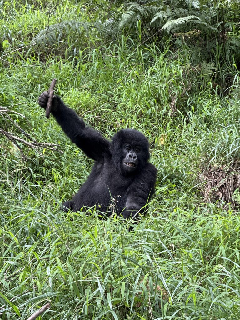 Cómo organizar un viaje a Ruanda por libre - Polyviajeros